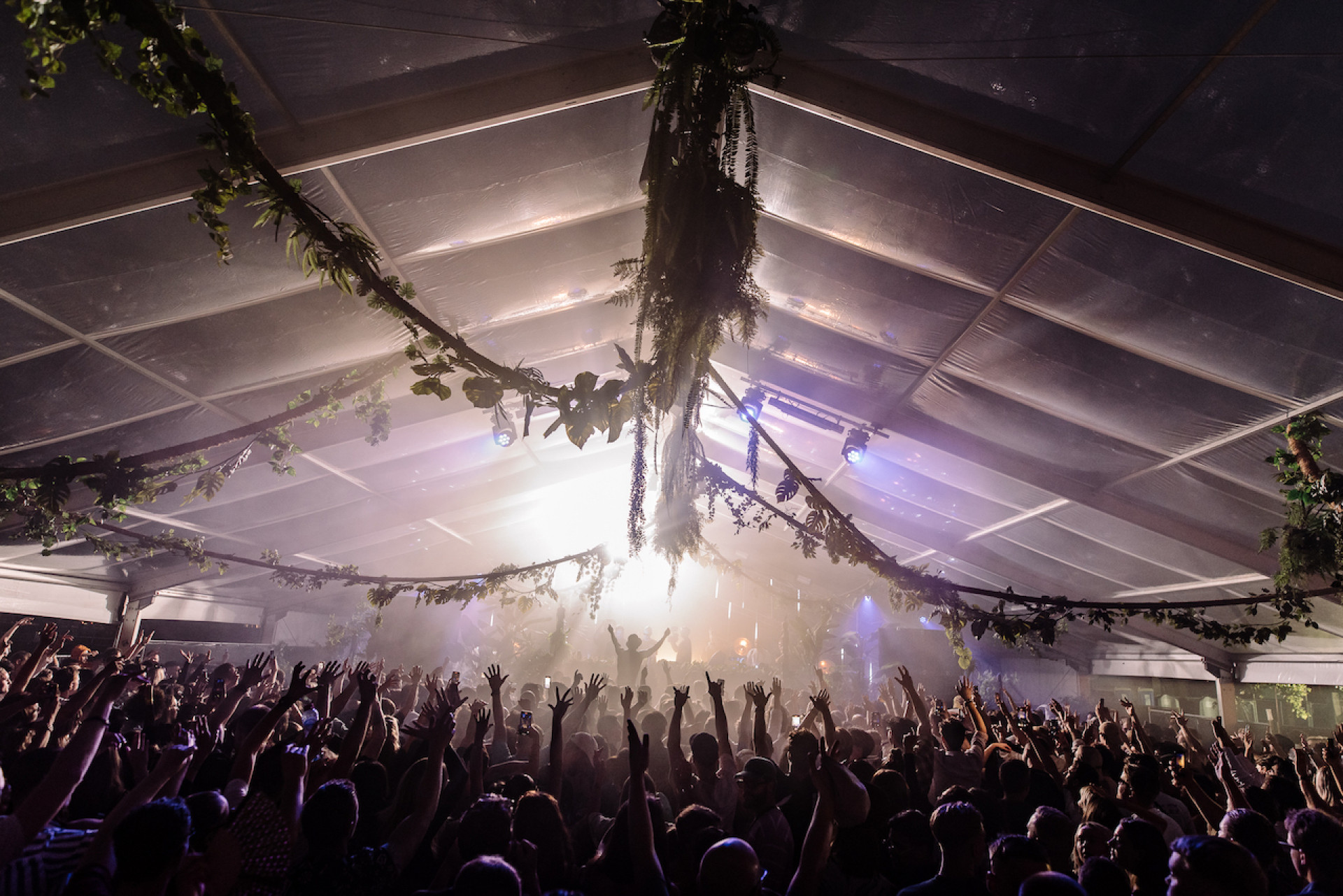 Home | COMPLEX FESTIVAL